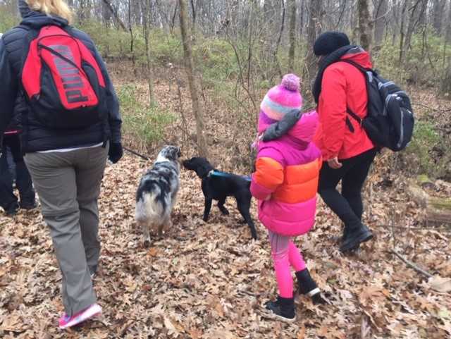 Opt Outside Hike - My Rockford Guide